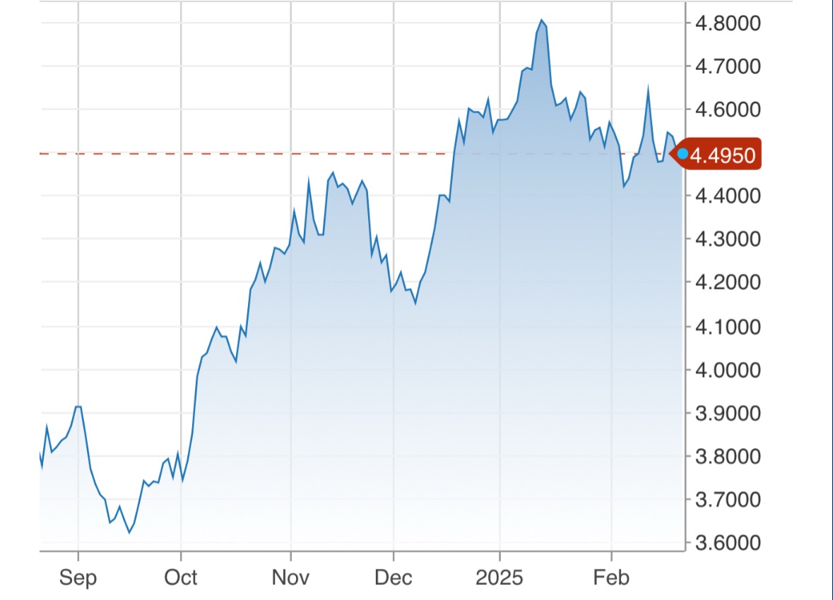 Will DOGE Hunt? Bond Market Naturally Defers | Sacred Cow Chips